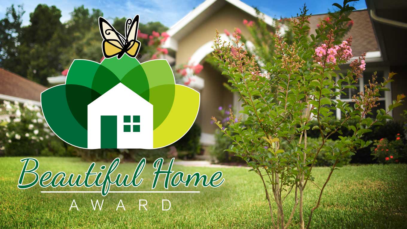 Beautiful Home Award | Sustainable Development